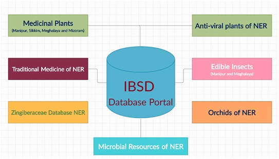 Sunil S. Thorat: Profile