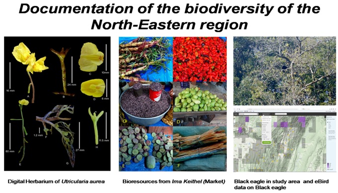 Sunil S. Thorat: Profile