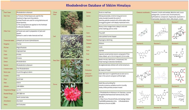 Sunil S. Thorat: Profile