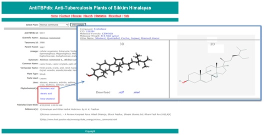 Sunil S. Thorat: Profile